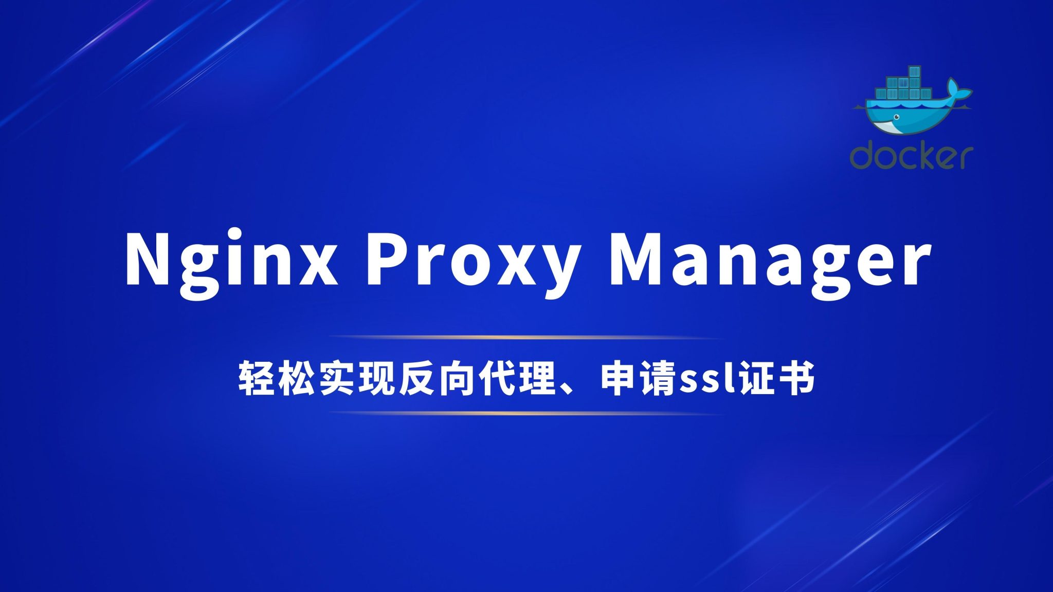 Docker安装Nginx Proxy Manager_康哥博客